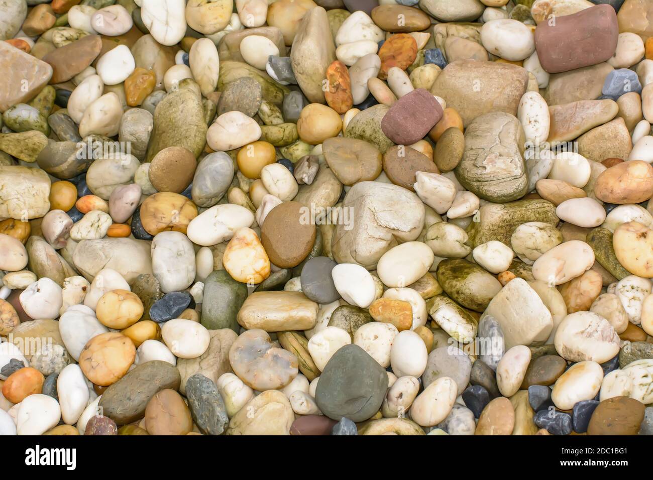Multiple stone used to decorate the garden Japanese style Stock Photo ...
