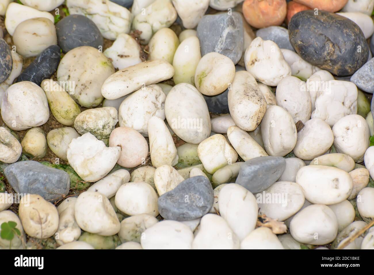 Multiple stone used to decorate the garden Japanese style Stock Photo ...