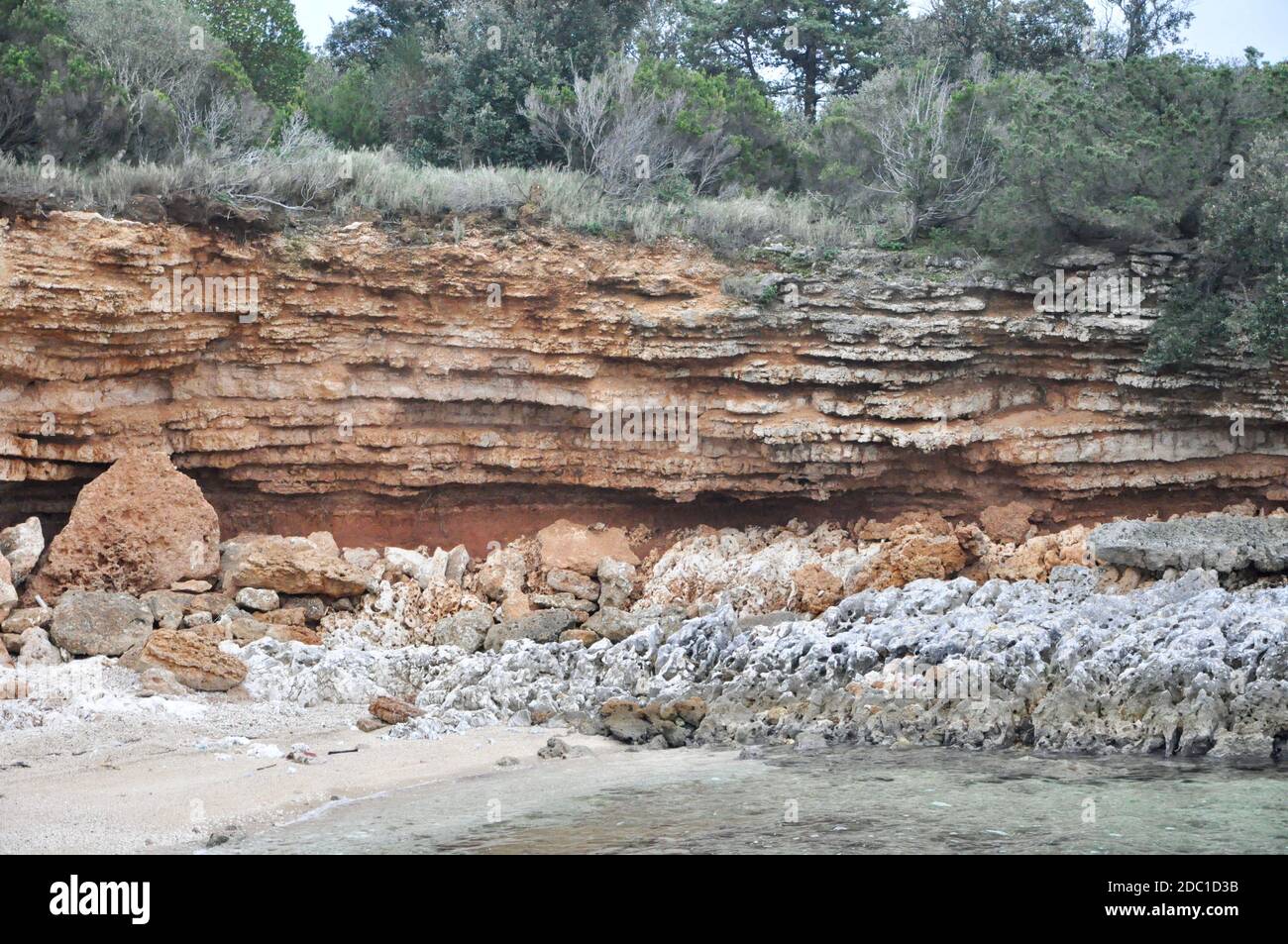 Abstract red cliff on Croatian beach, drifted wood from Adriatic Sea ...