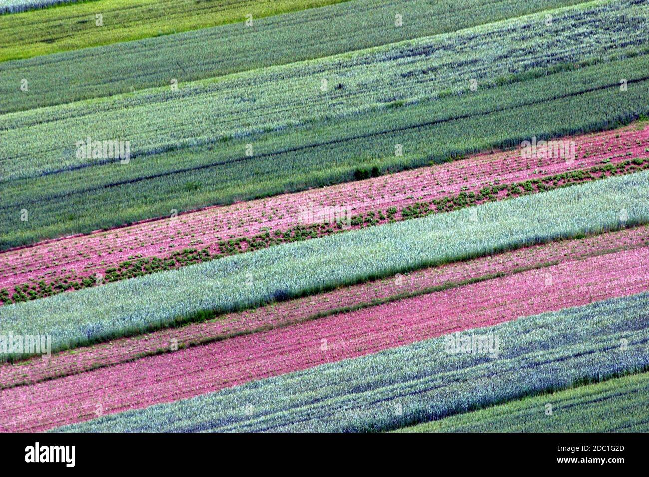 Abstract landscape, Aerial view of colorful fields Stock Photo - Alamy