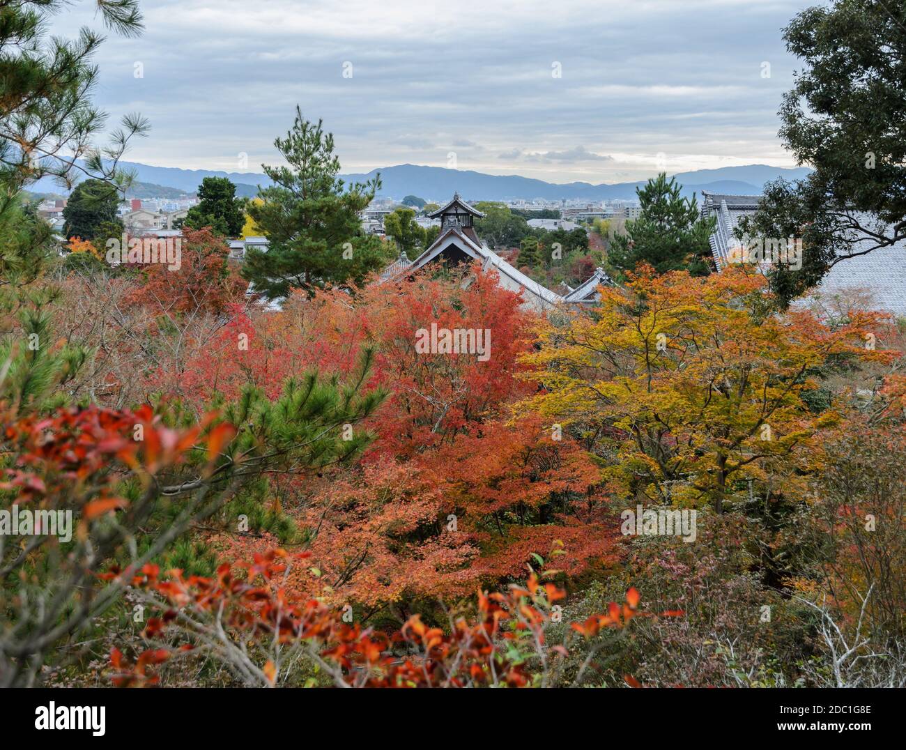 Stunning view of Tenryuji temple with autumn colored leaves in ...
