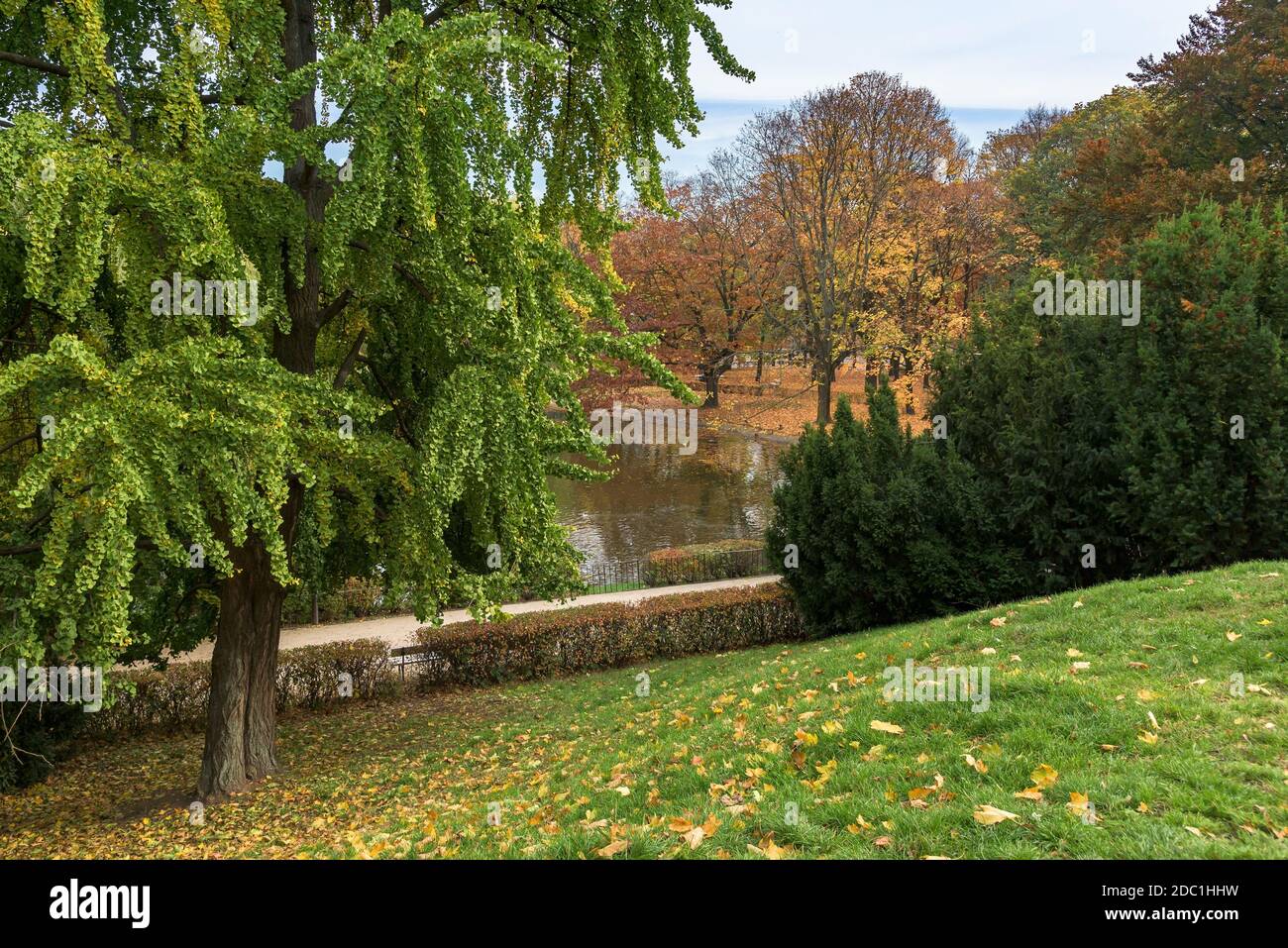 Colorful autumn in Saxon Garden in Warsaw downtown Stock Photo - Alamy
