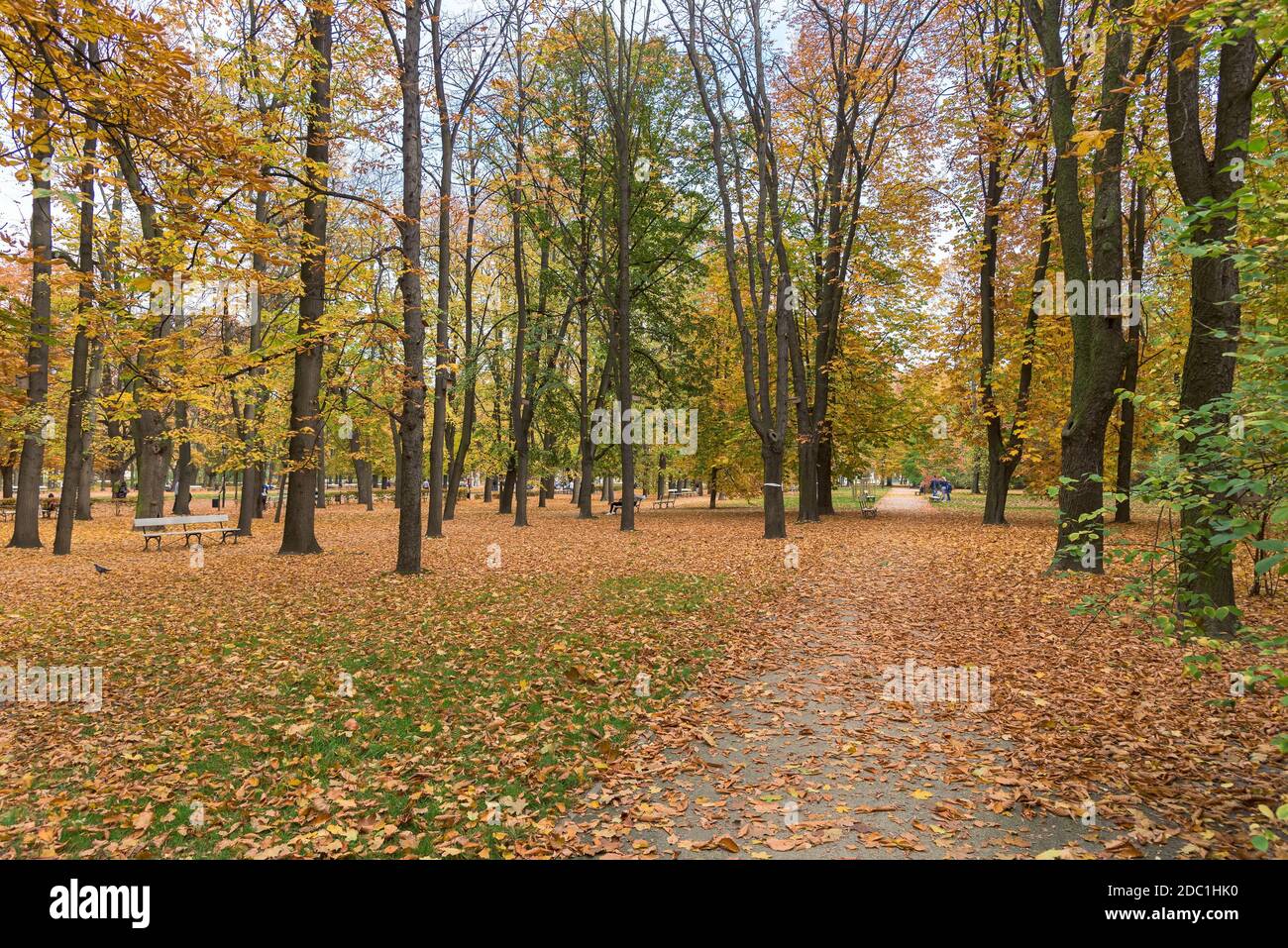 Colorful autumn in Saxon Garden in Warsaw downtown Stock Photo - Alamy