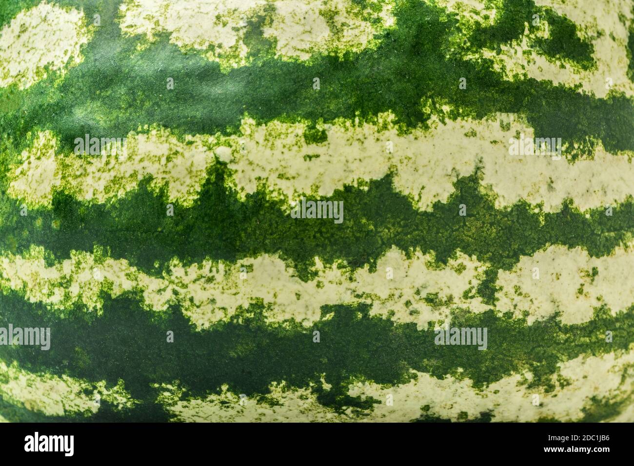 Watermelon Skin Texture Map