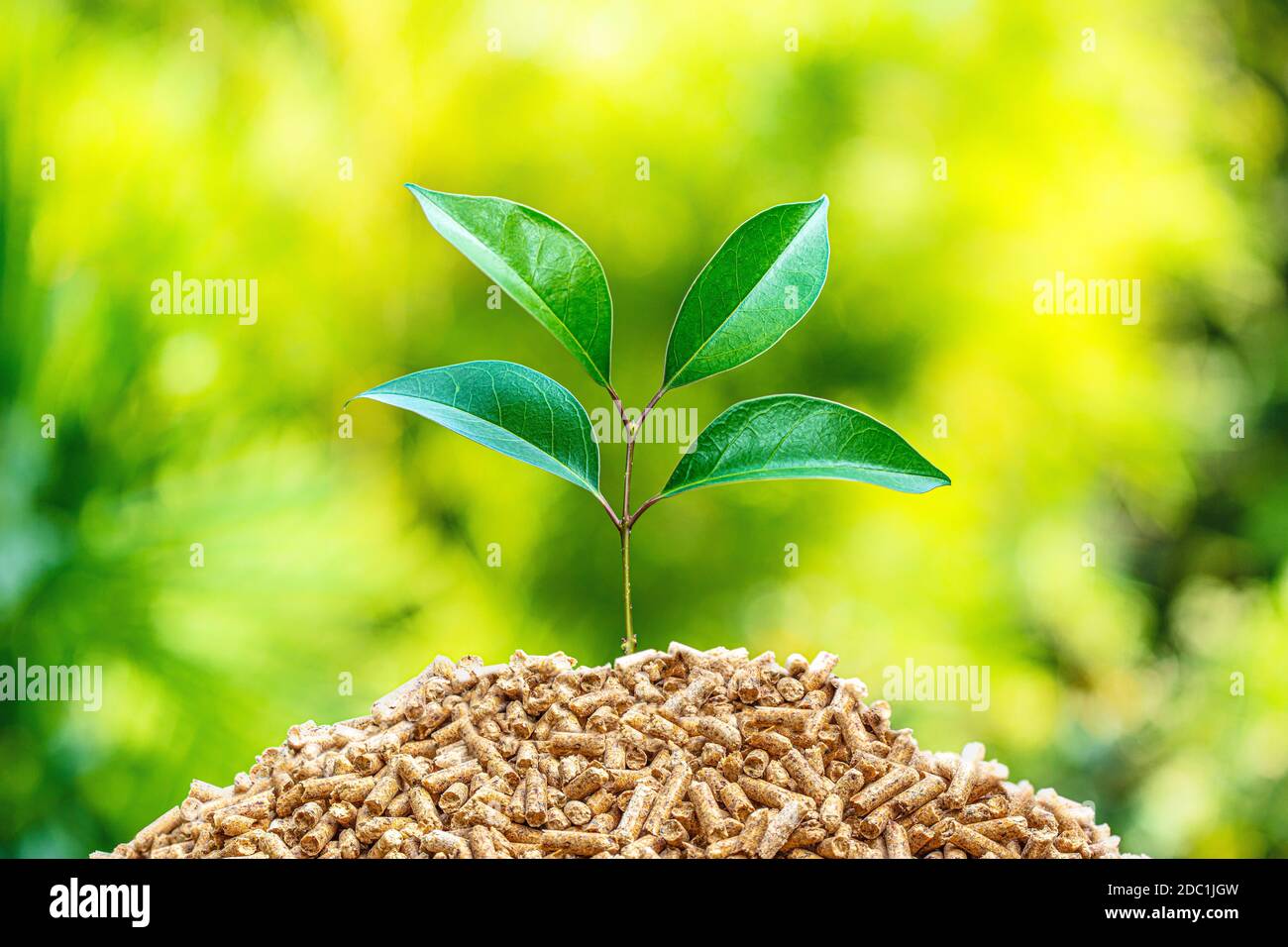 fuel wood pellets with green tree leaf. blurred background. biomass ...