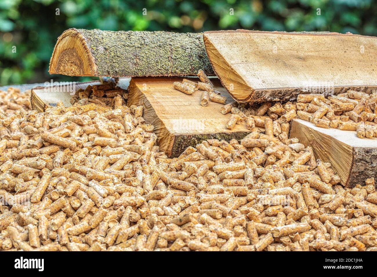 tree trunks and wood pellets. biomass for fuel Stock Photo - Alamy