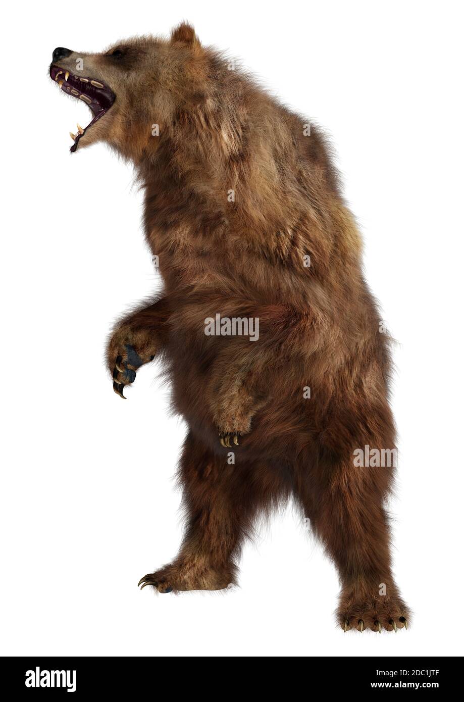 3D rendering of a brown bear isolated on white background Stock Photo ...