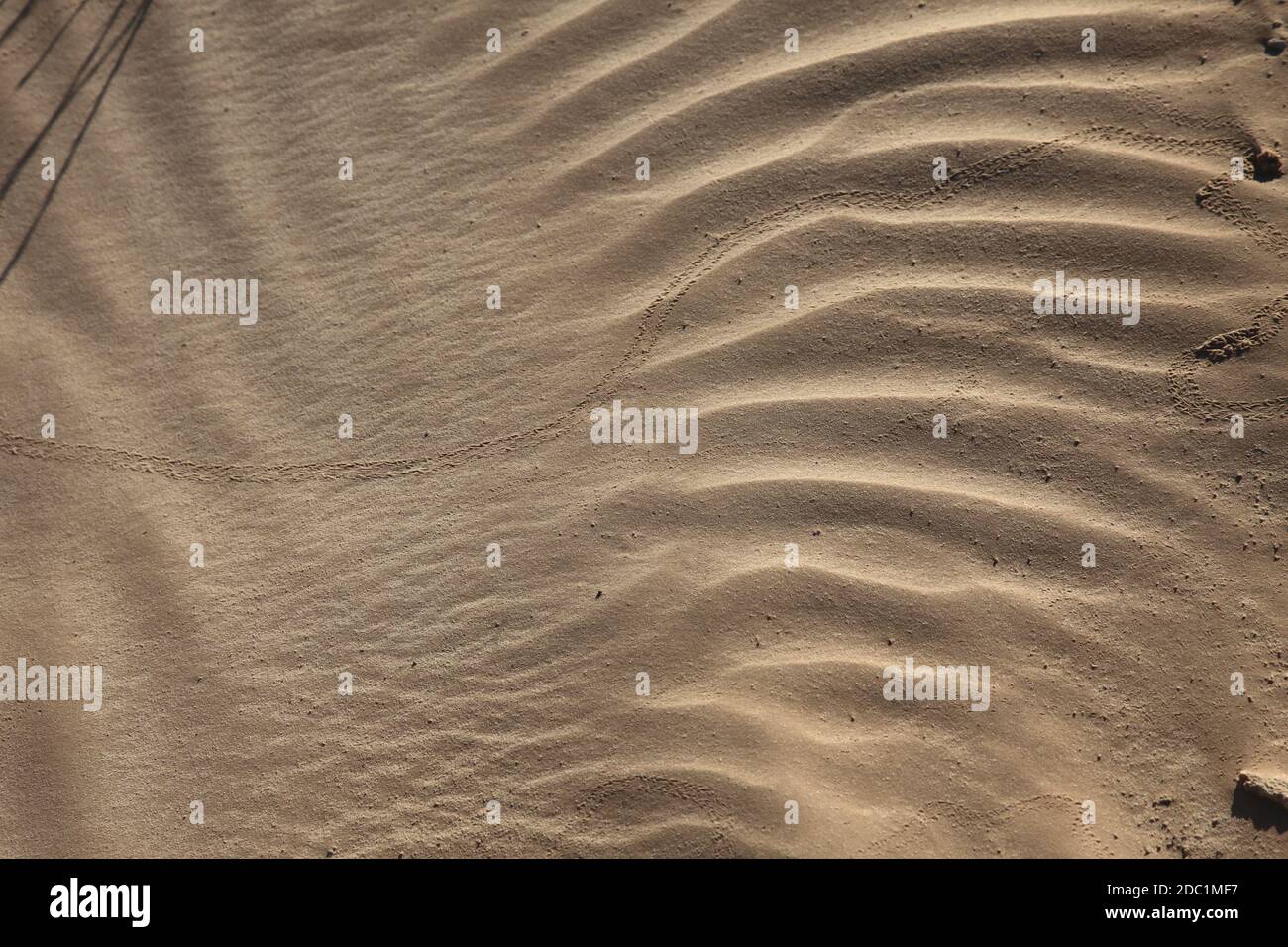 Wind textures on sand in Sahara Stock Photo - Alamy