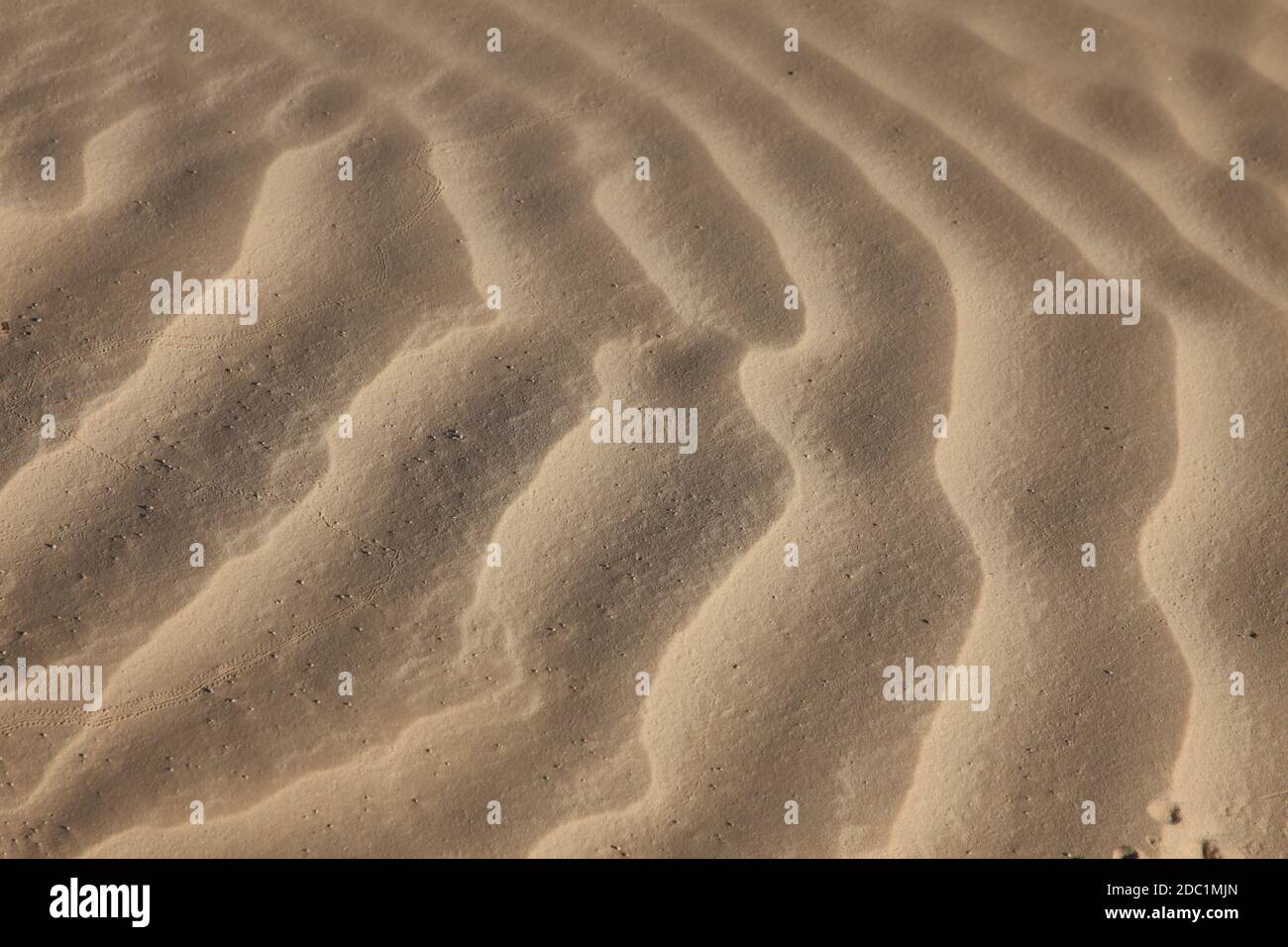 Wind textures on sand in Sahara Stock Photo - Alamy