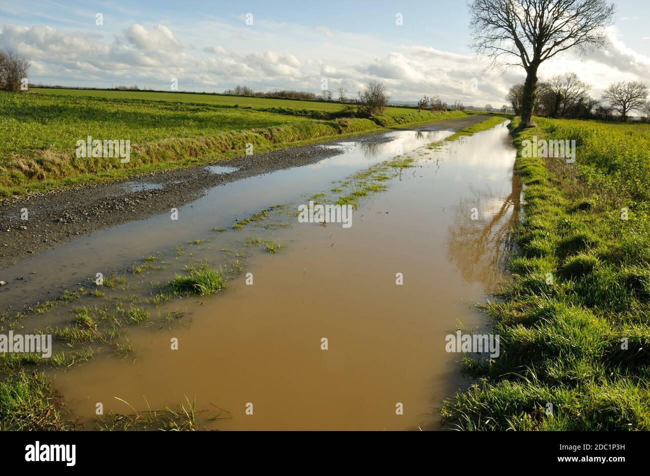 A flooded country lane in Brittany Stock Photo - Alamy