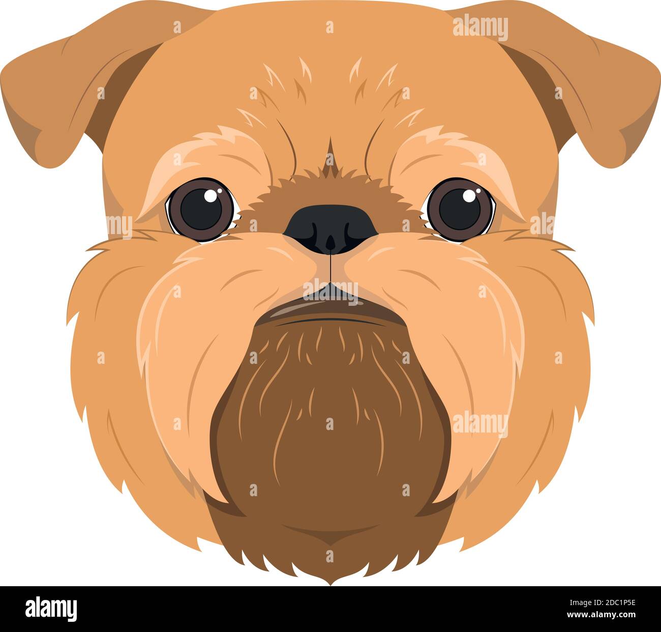 Brussels Griffon dog isolated on white background vector illustration ...