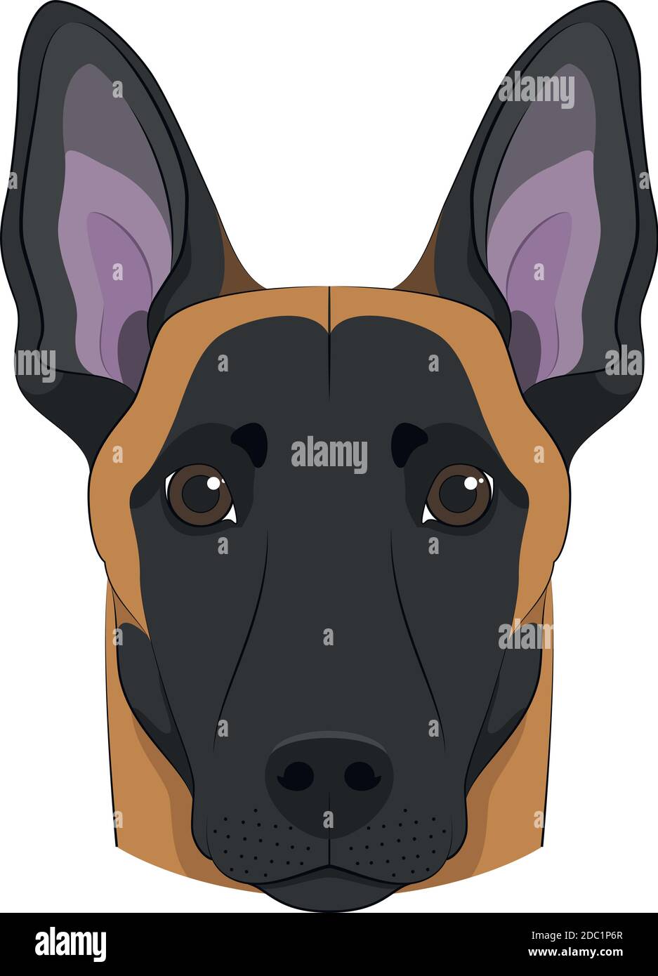 Malinois background Stock Vector Images - Alamy