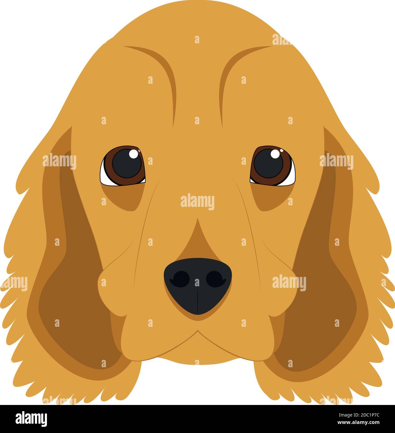 English Cocker Spaniel dog isolated on white background vector ...