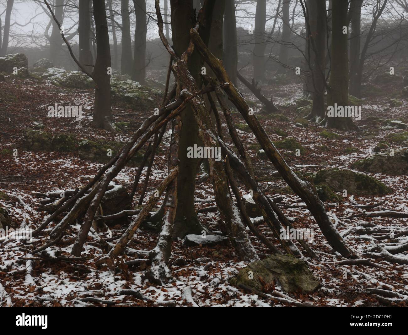 Children’s den in a dark wood, dark winter woodland landscape with fog ...