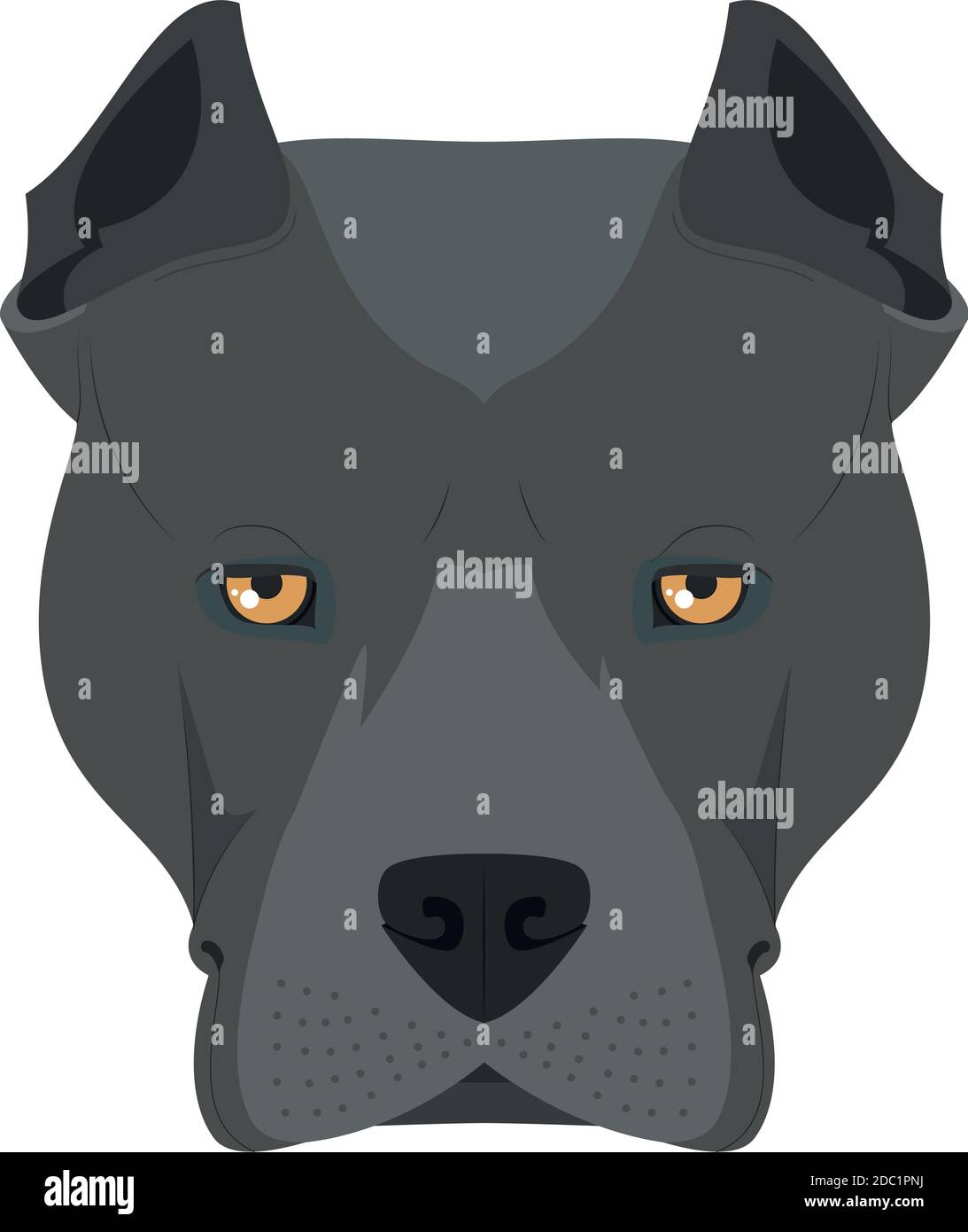 American Staffordshire Terrier dog isolated on white background vector ...