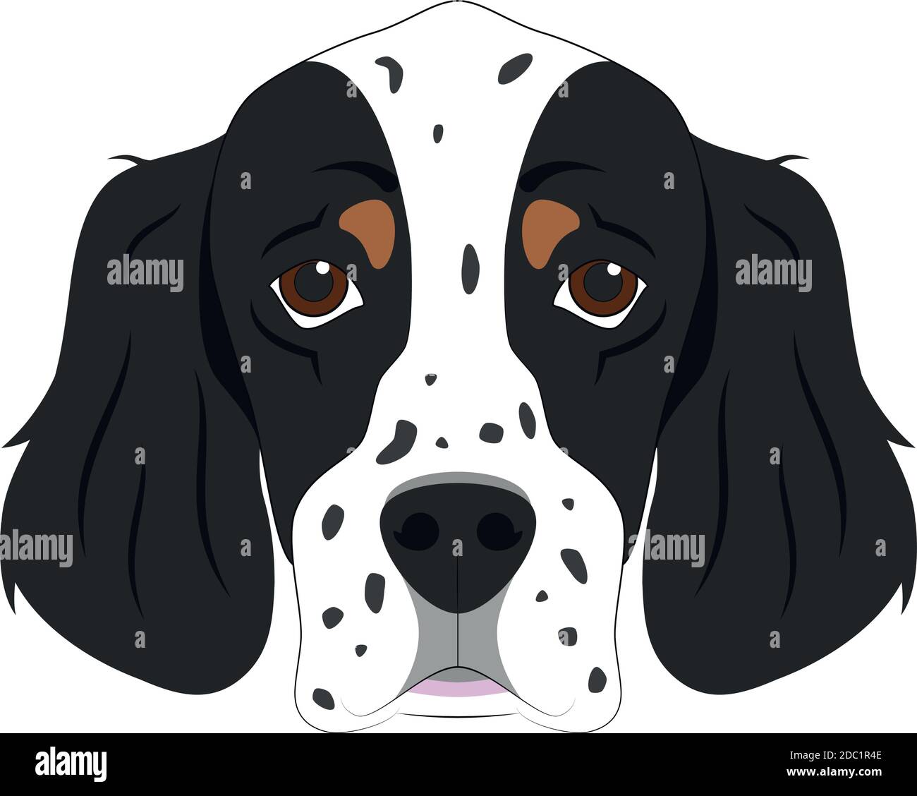 English setter puppy portrait Stock Vector Images - Alamy