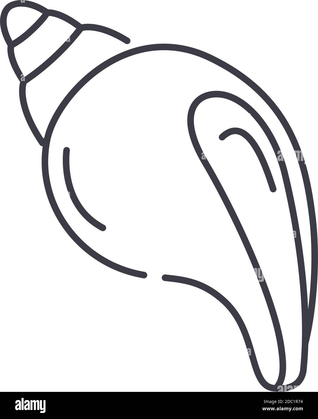 Conch icon, linear isolated illustration, thin line vector, web design ...
