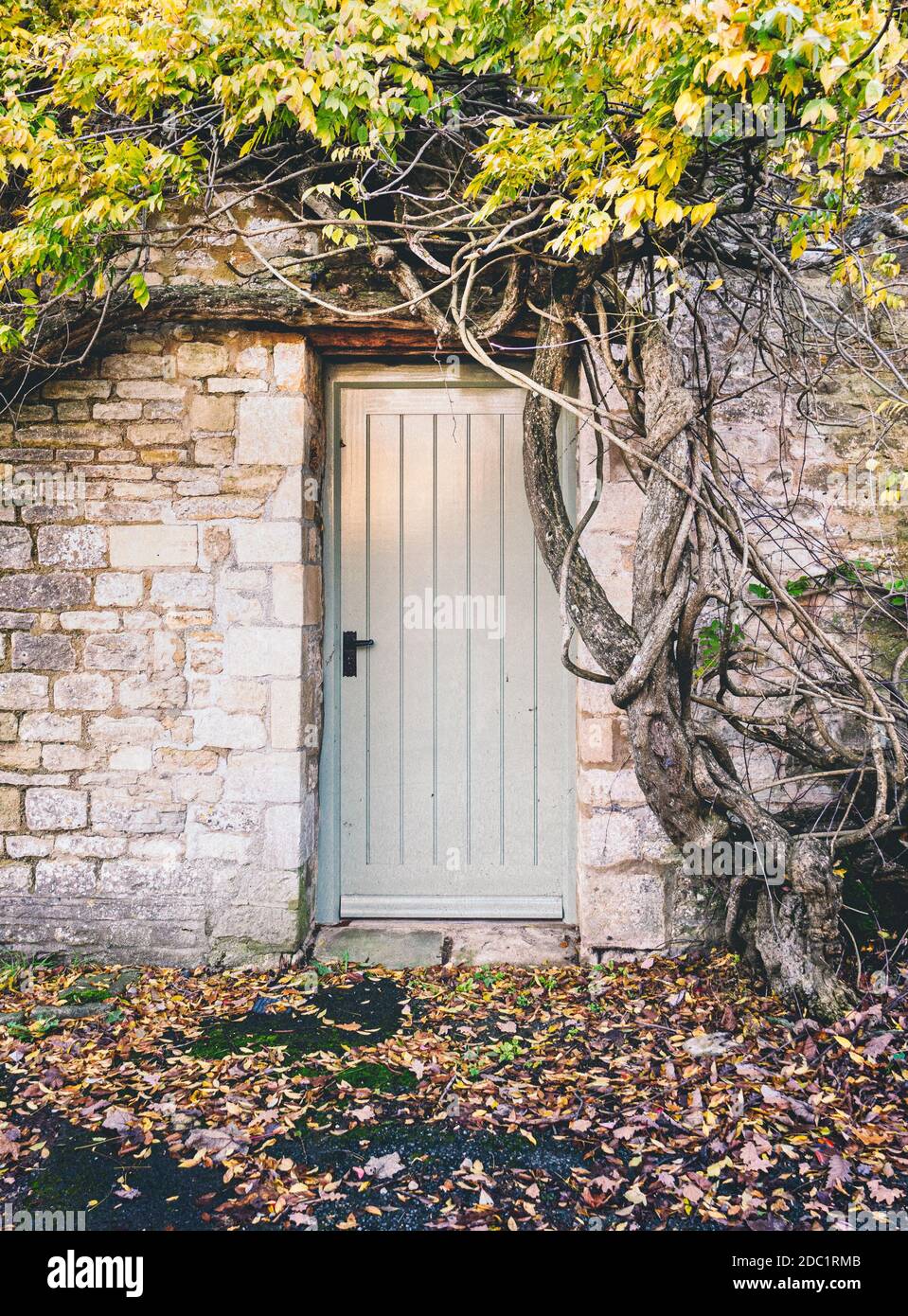 Overgrown garden gate hi-res stock photography and images - Alamy