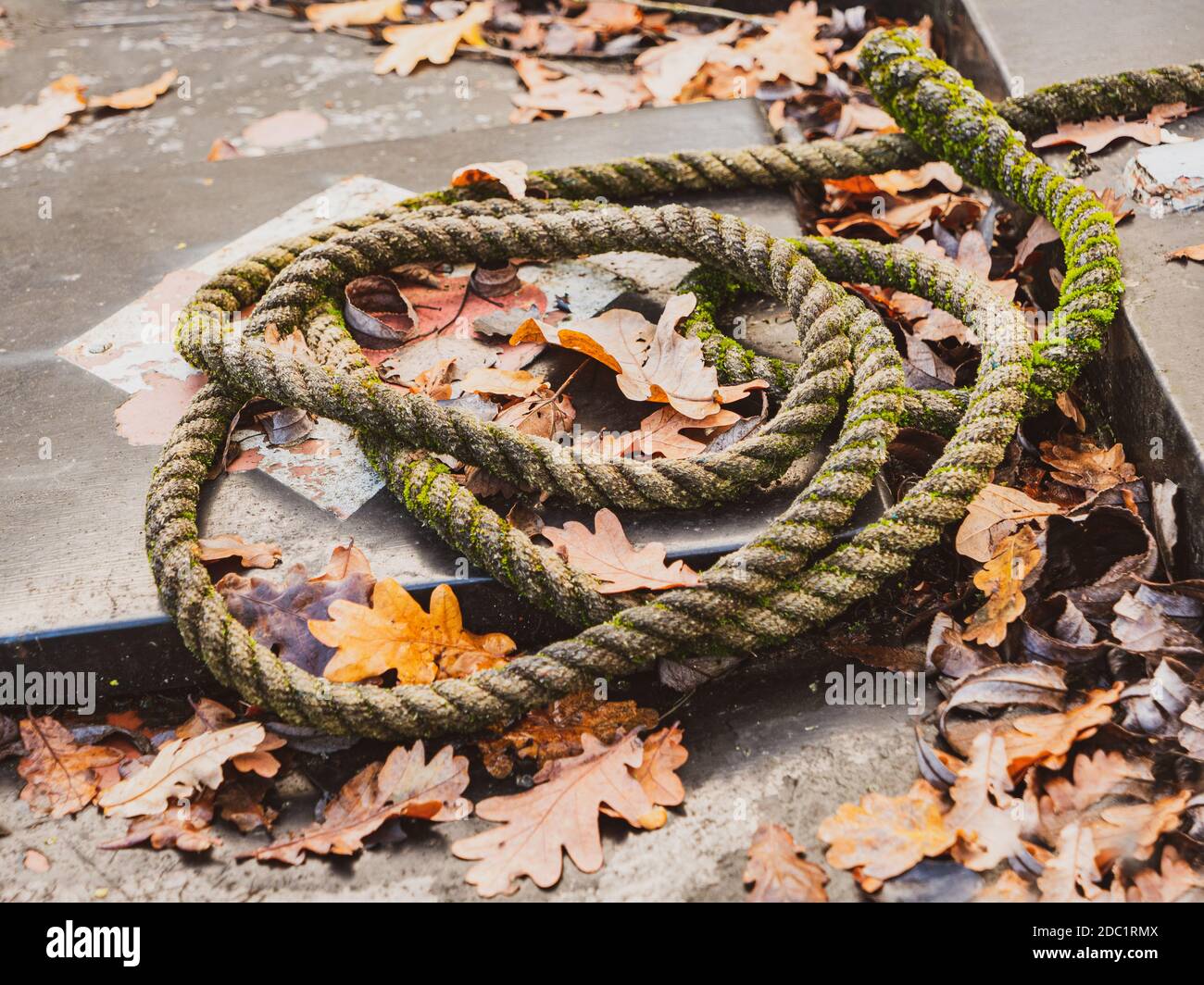 Rope leaves hi-res stock photography and images - Alamy