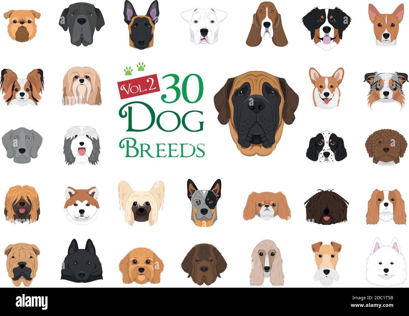 Dog breeds Vector Collection: Set 2. 30 different dog breeds in cartoon ...