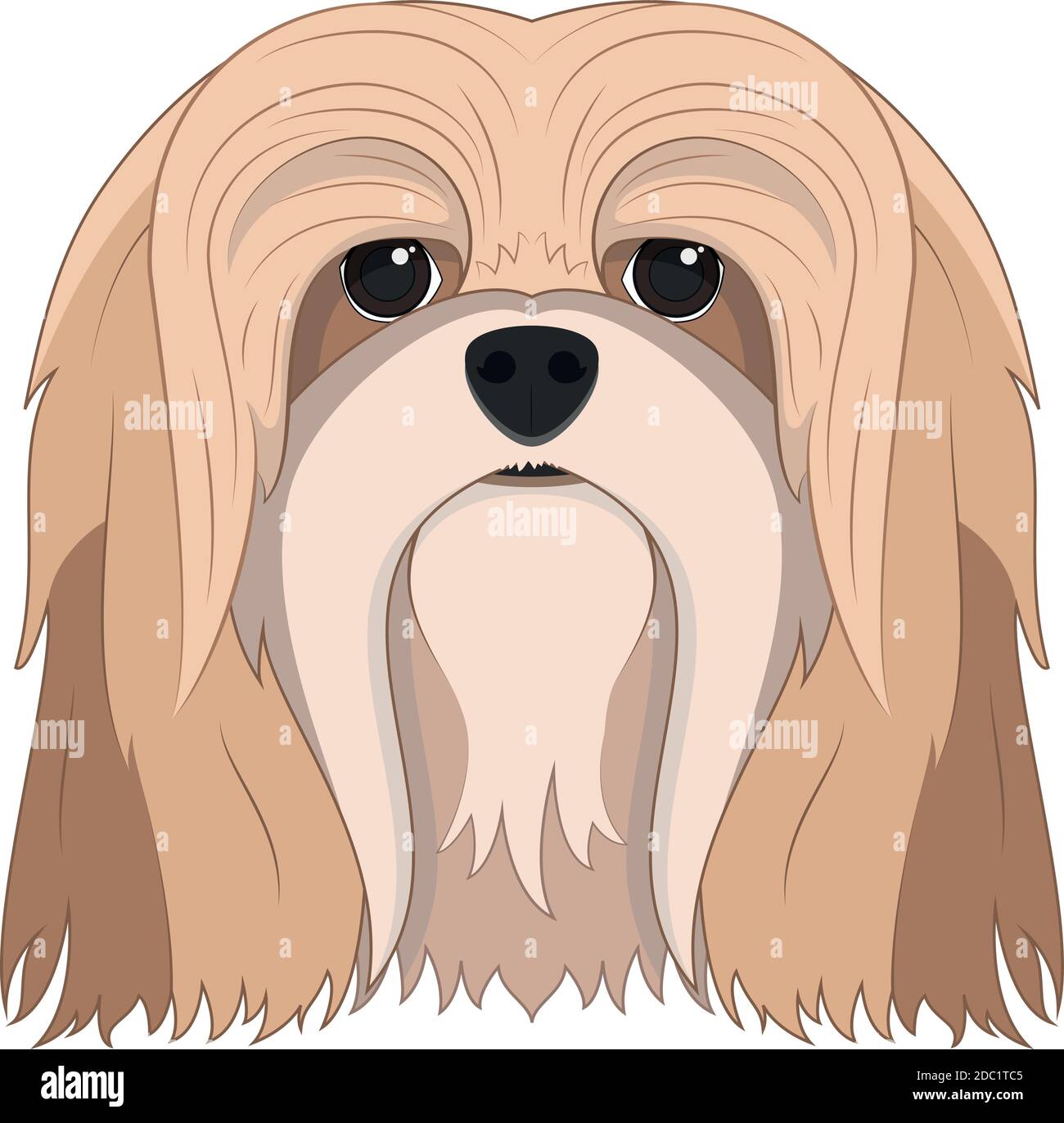 Lhasa Apso dog isolated on white background vector illustration Stock ...