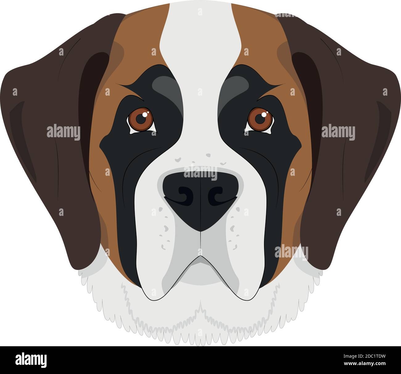 Saint Bernard dog isolated on white background vector illustration ...