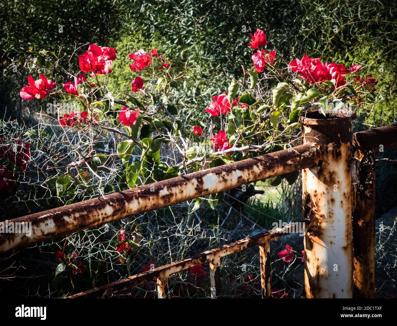 From holiday paradise, to ghost town, Varosha, the Cypriot forbidden ...