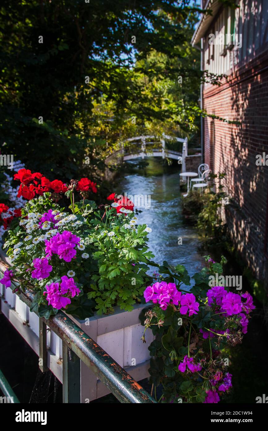 Small white wooden bridge hi-res stock photography and images - Alamy