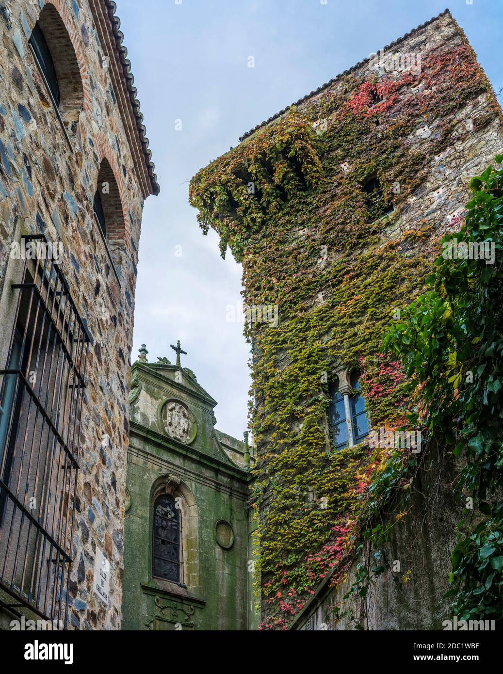 Sande Tower, Medieval old palace house hidden in green and red ivy ...