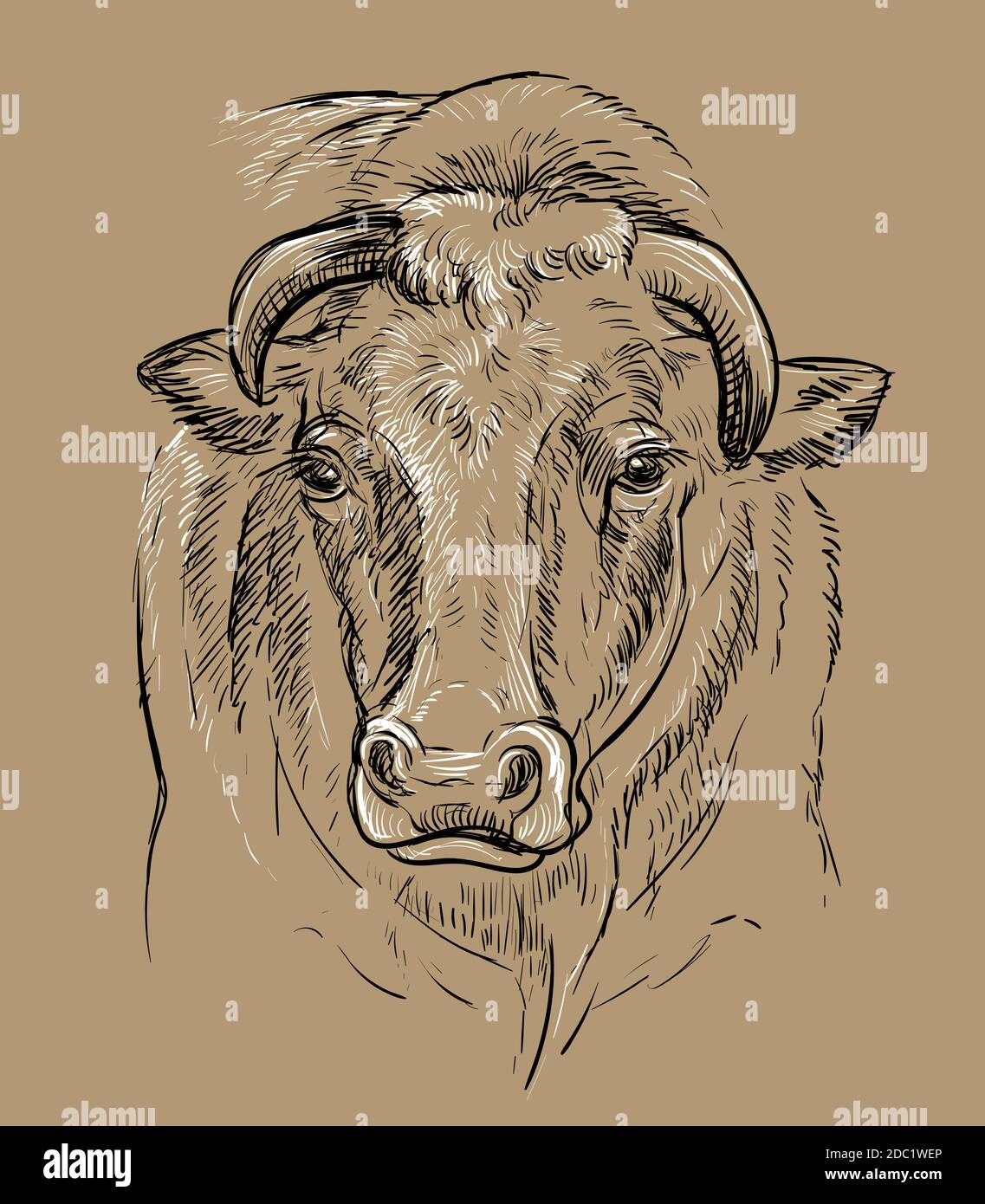 Mean Bull Head Drawing