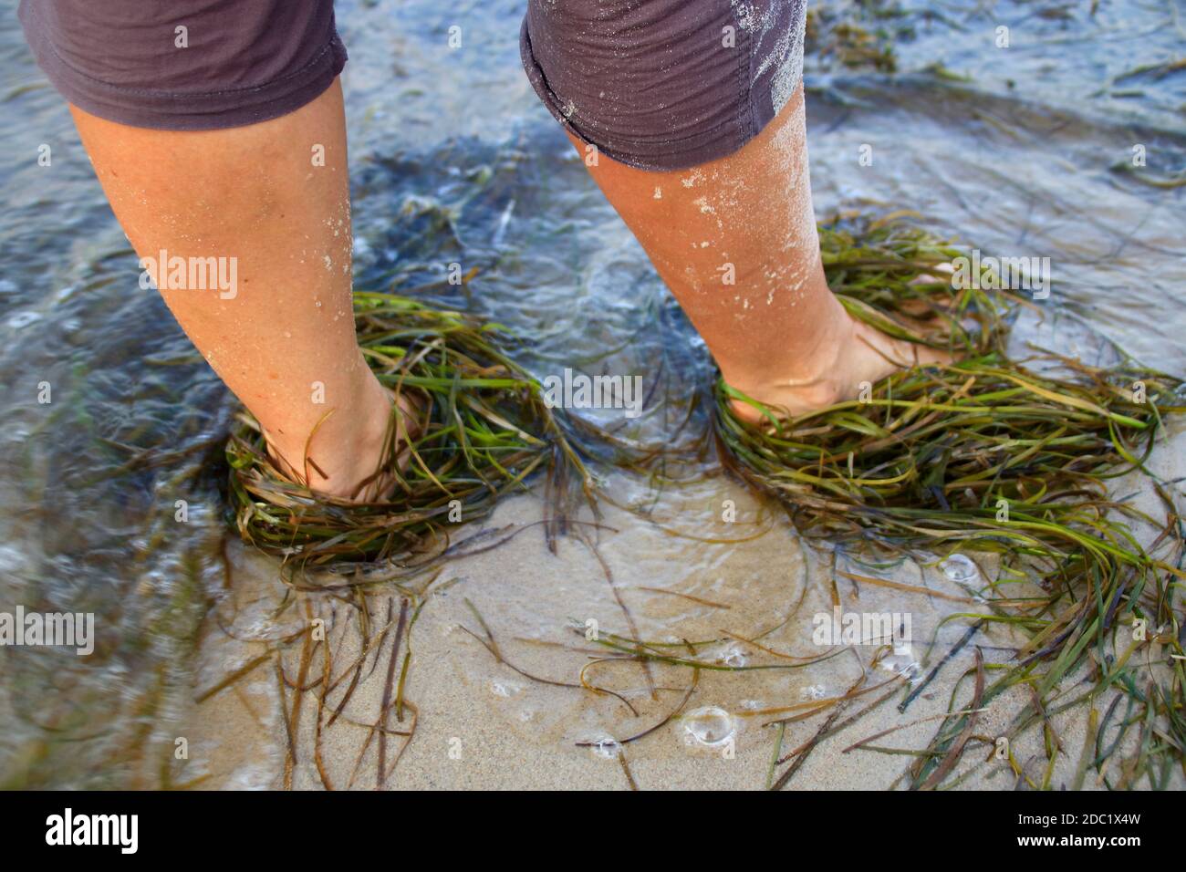 Waves and seaweed wash around feet on the sandy beach Stock Photo - Alamy