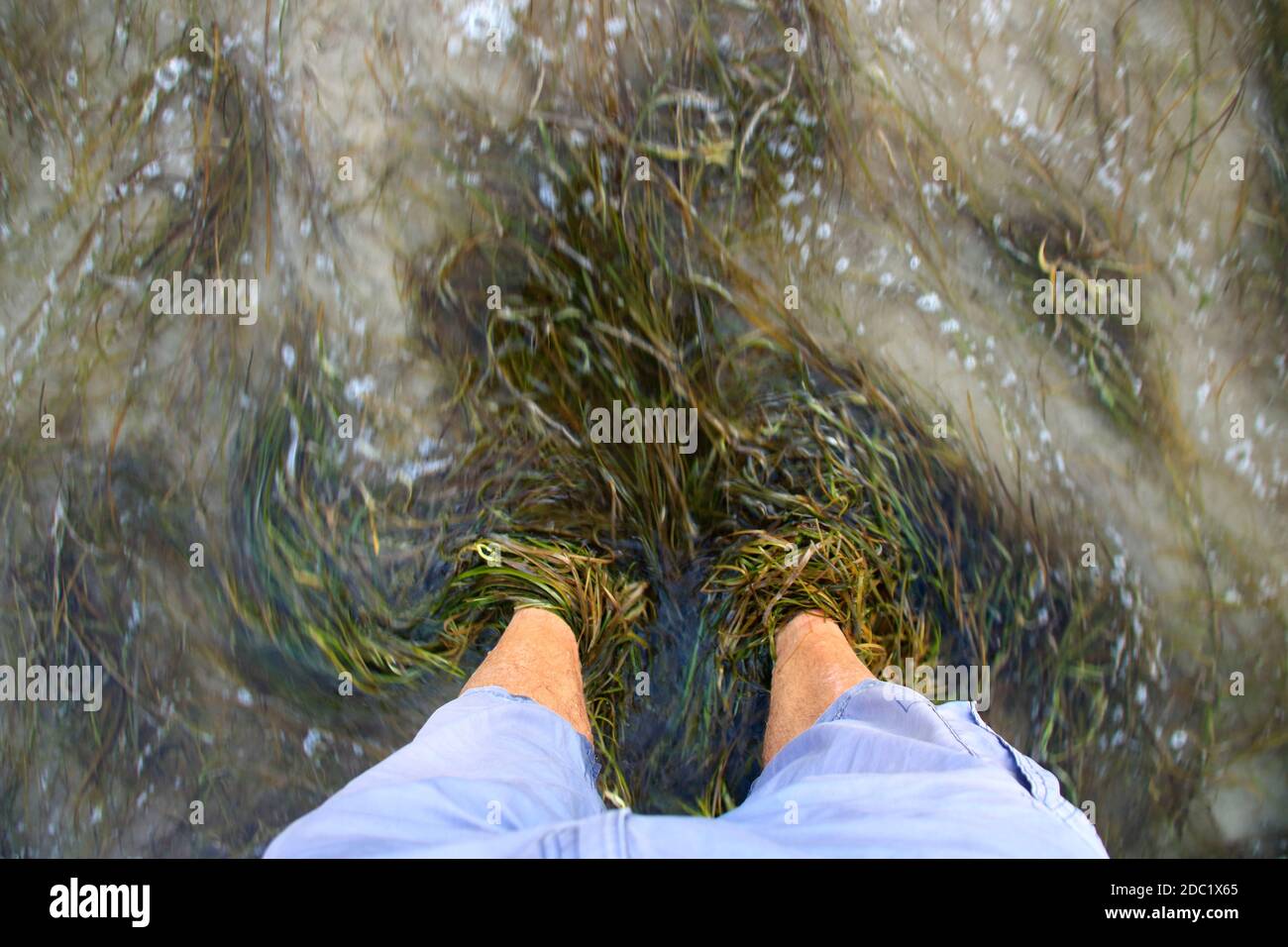 Waves and seaweed wash around feet on the sandy beach Stock Photo - Alamy