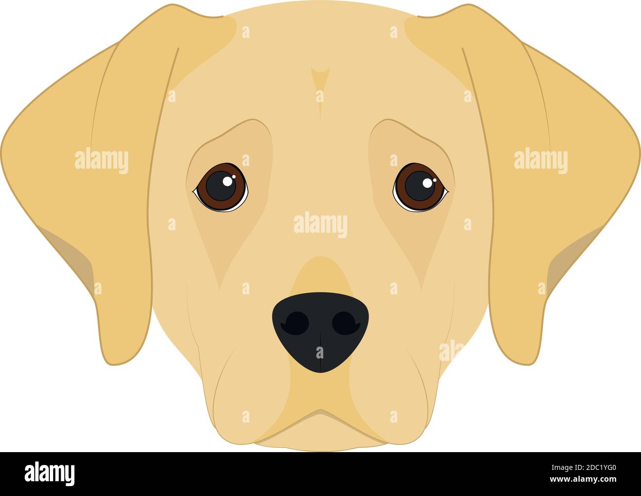 Retriever puppy isolated on Stock Vector Images - Alamy