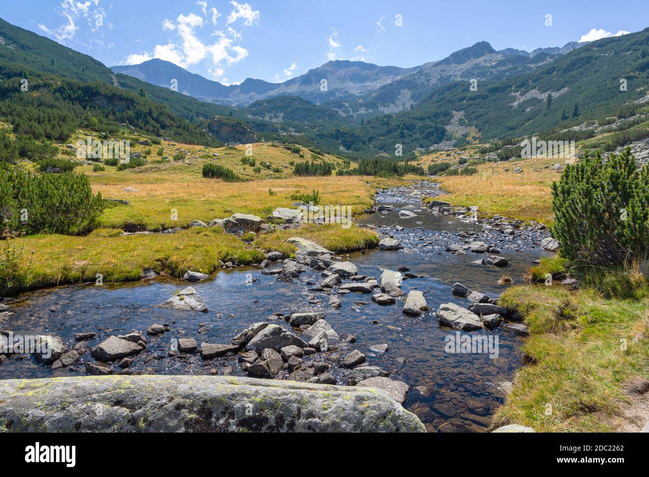 Pirin Mountain in the summer and a Mountain Spring Stock Photo - Alamy