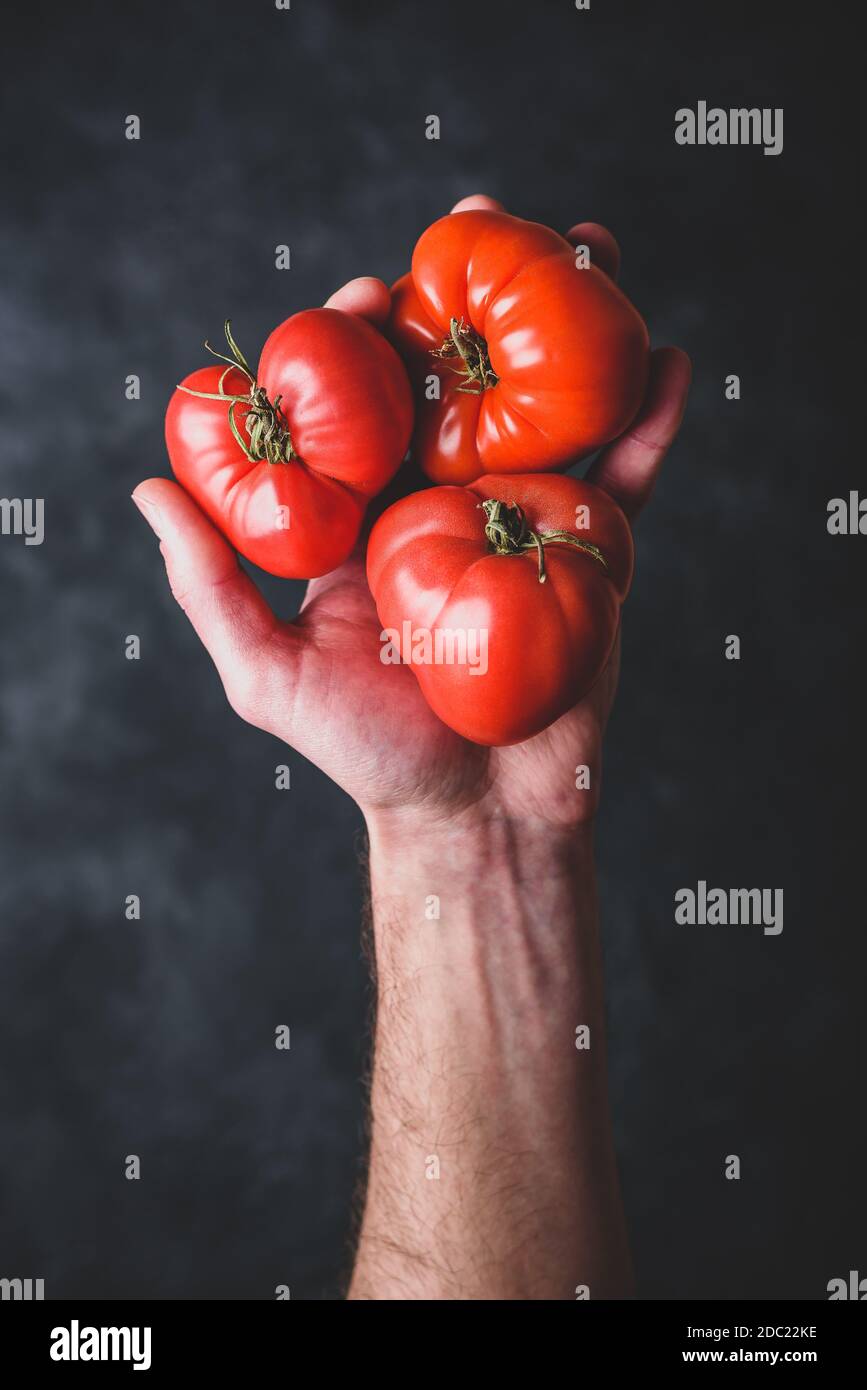 Hand holding fresh red tomatoes. View from above Stock Photo - Alamy