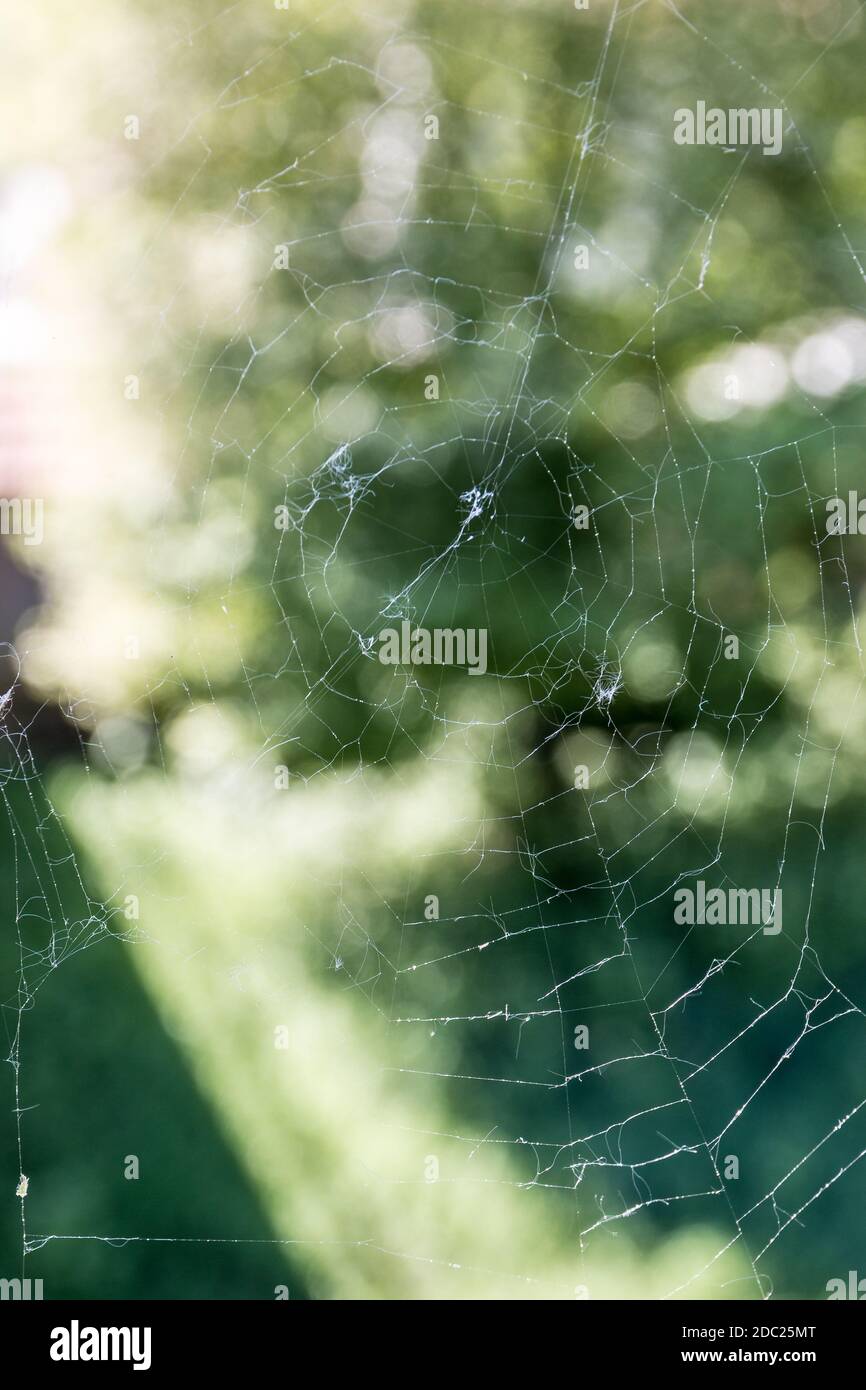 Destroyed spiderweb hi-res stock photography and images - Alamy