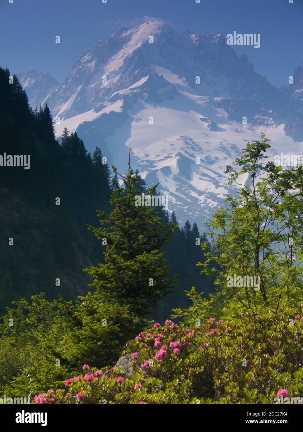 col des montets,chamonix,haute savoie,france Stock Photo - Alamy