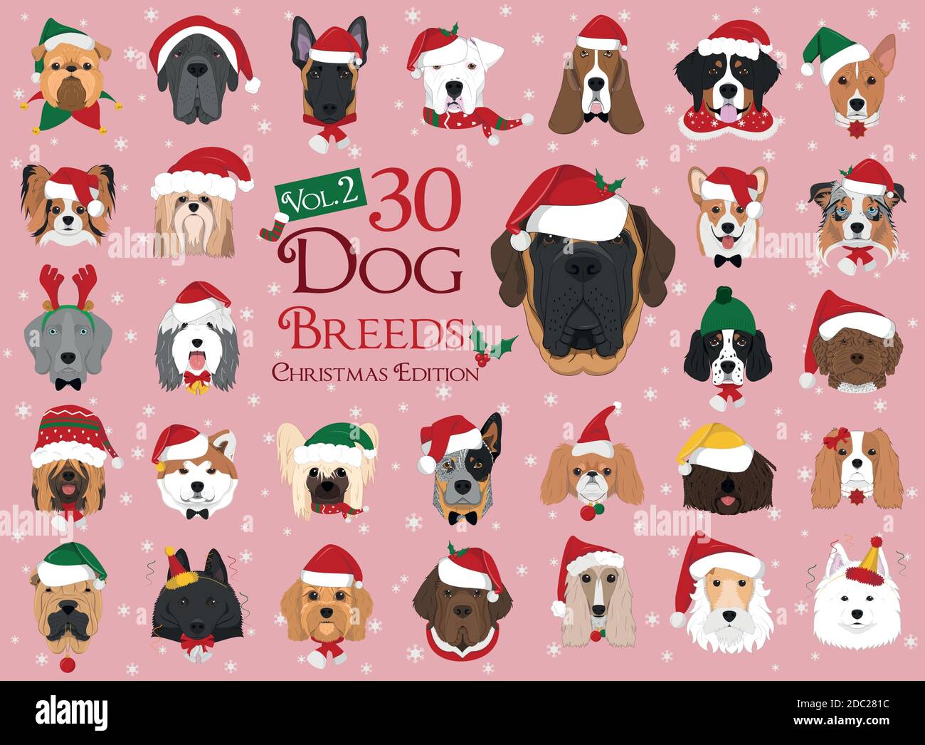 Set of 30 dog breeds with Christmas and winter themes. Set 2 Stock ...