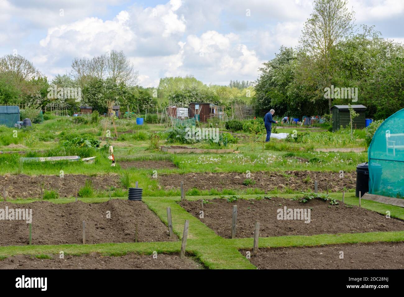 Spring. Allotment plots ready for planting. England UK Stock Photo - Alamy