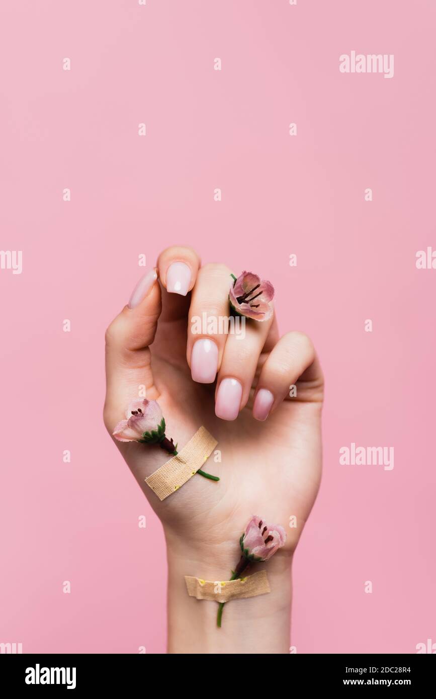 band aids with flowers on female hand isolated on pink Stock Photo - Alamy