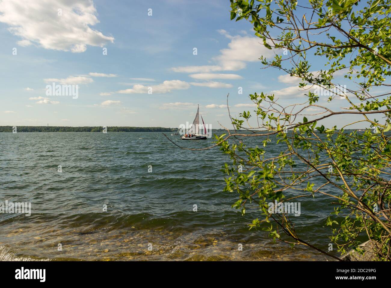 A view from shore of a sailing yacht in distance Stock Photo - Alamy