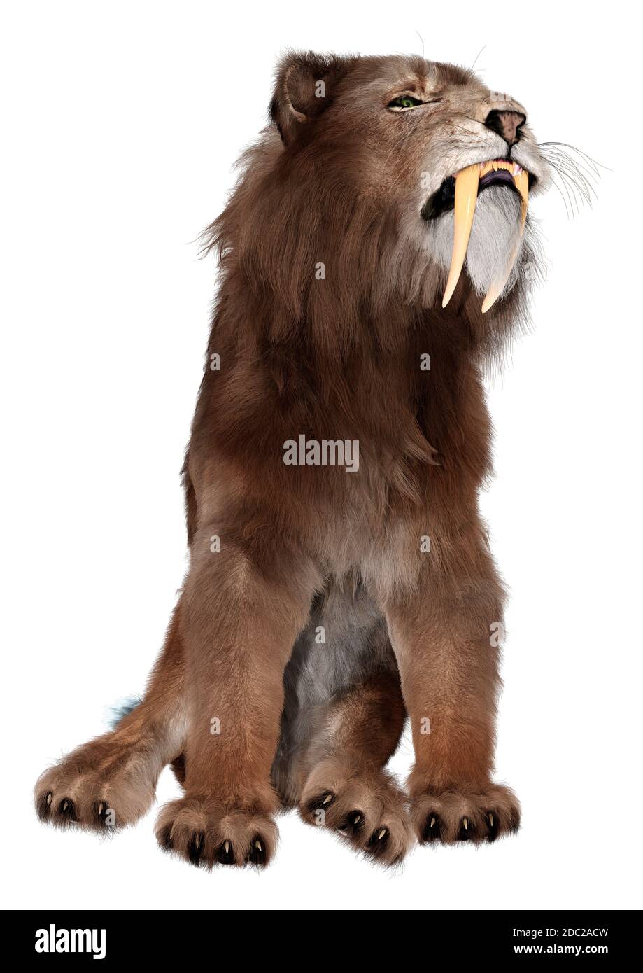 3D rendering of a brown sabertooth tiger isolated on white background ...
