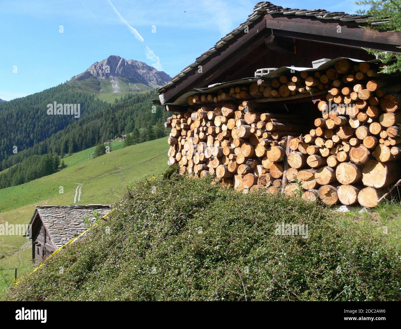 Liddes hi-res stock photography and images - Alamy
