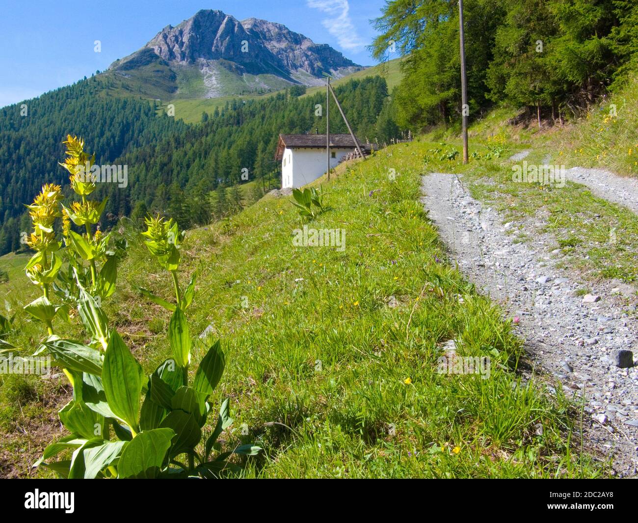 Liddes hi-res stock photography and images - Alamy