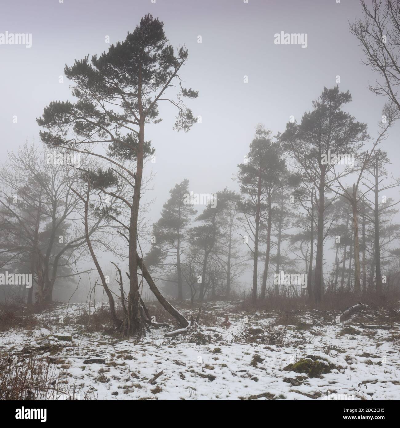 Narnia Landscape High Resolution Stock Photography and Images - Alamy