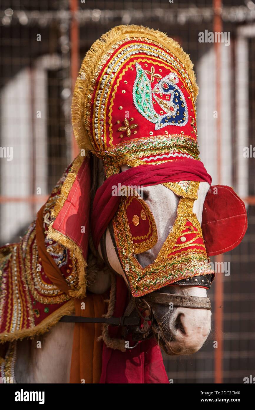 Visit rishikesh hi-res stock photography and images - Alamy