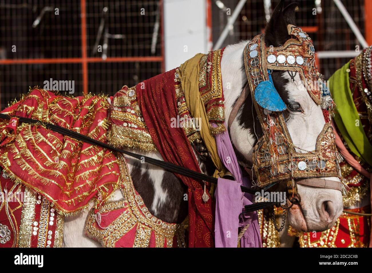 Visit rishikesh hi-res stock photography and images - Alamy