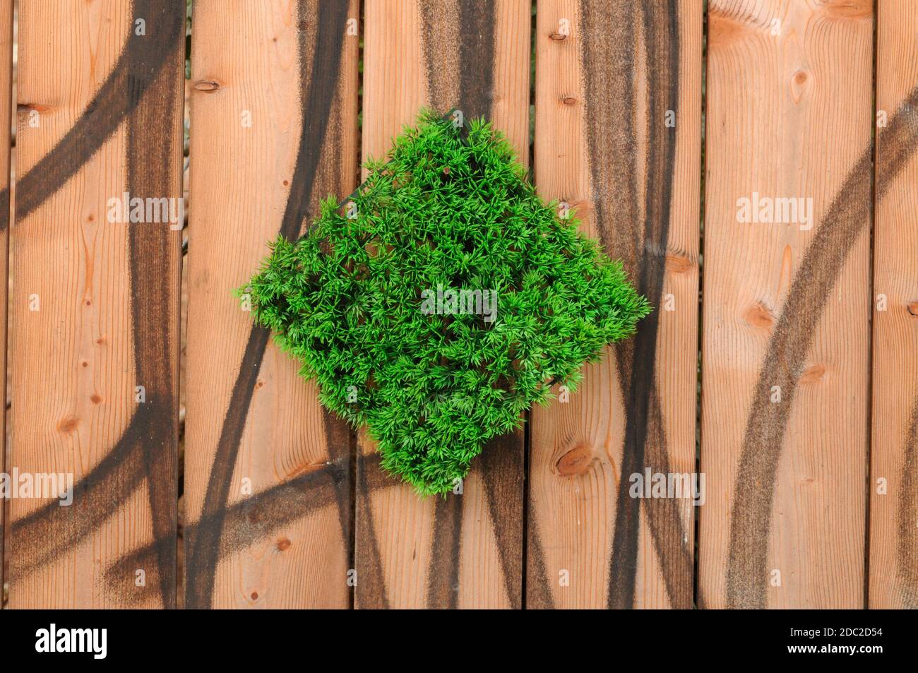 the color green, associated with nature, life, health and hope Stock ...