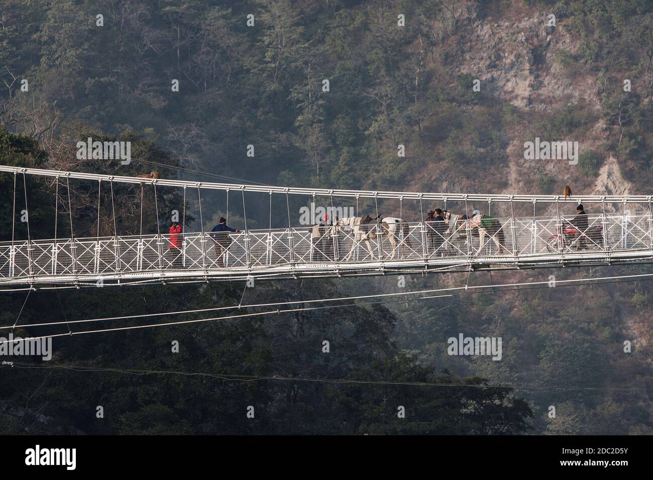 Visit rishikesh hi-res stock photography and images - Alamy