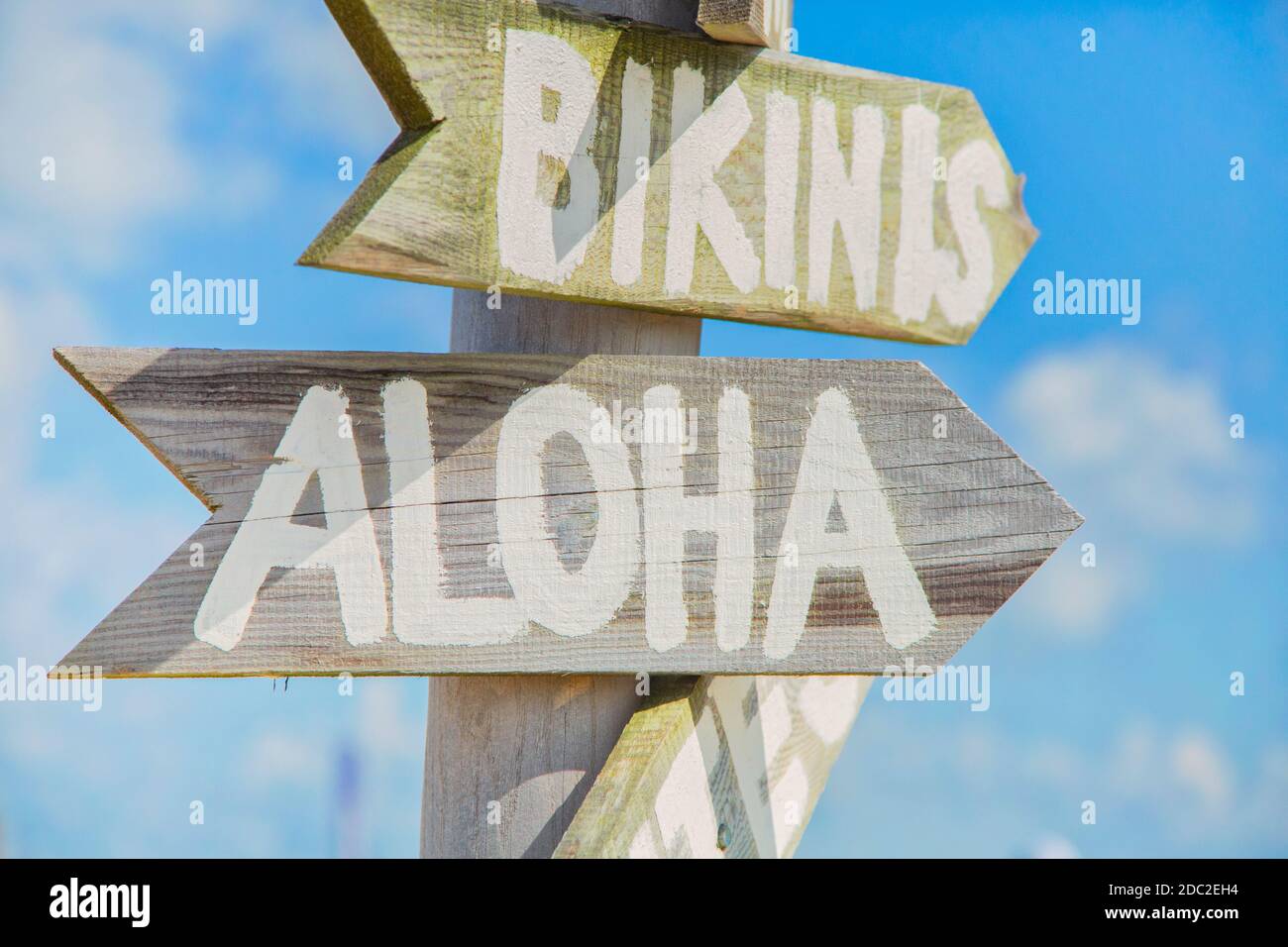funny handmade signs on a beach in The Netherlands, with words bikina ...